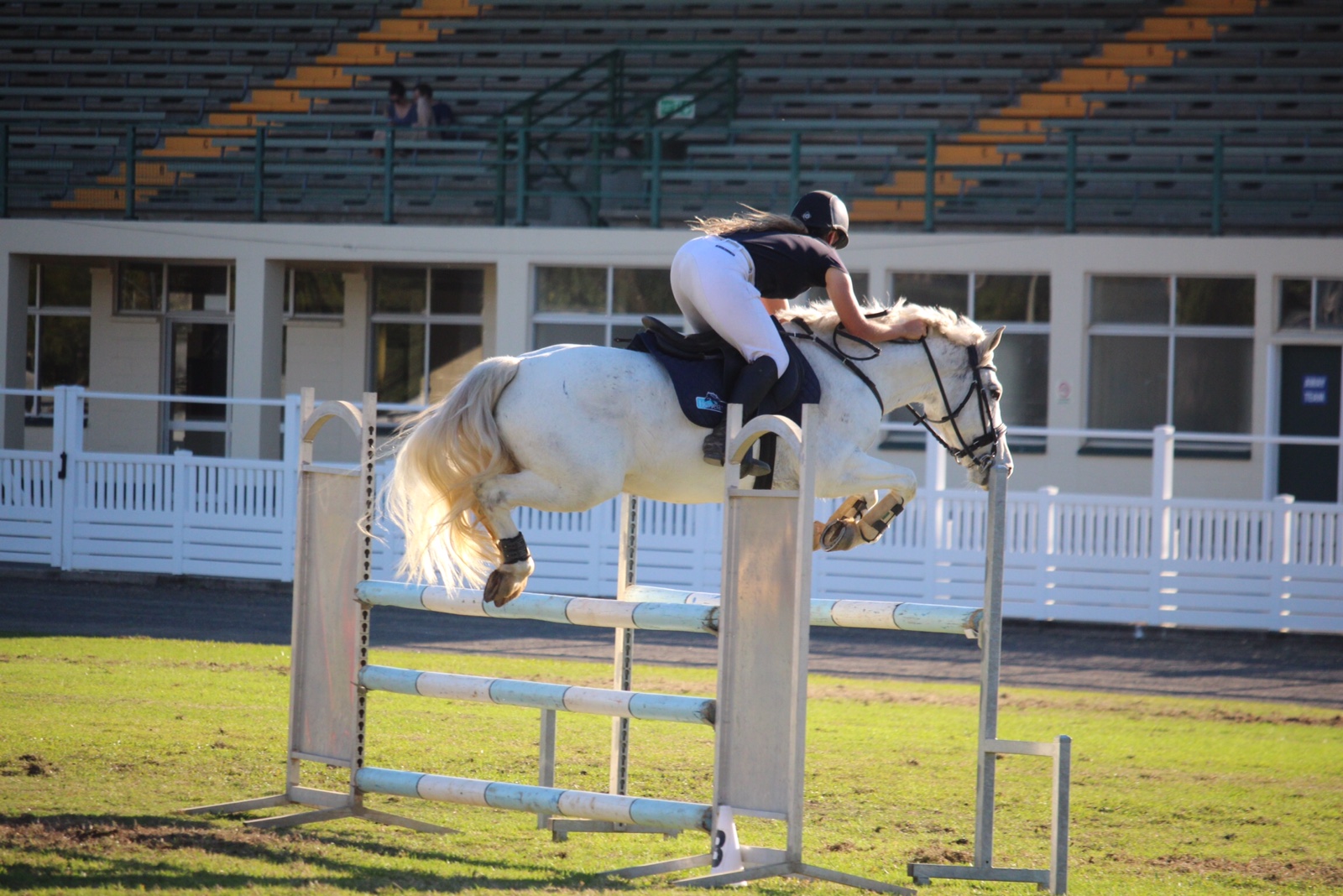Fox Equestrian – Success through Versatility