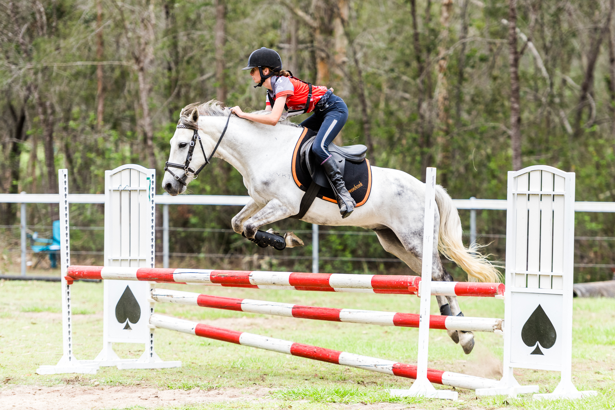 Gallery – Fox Equestrian